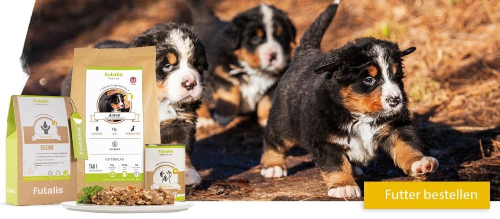 Fütterungstabellen für Welpen & die richtige Futtermenge » futalis.de