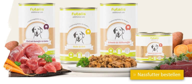 Nassfutter für Hunde - individuell, gesund & hochwertig
